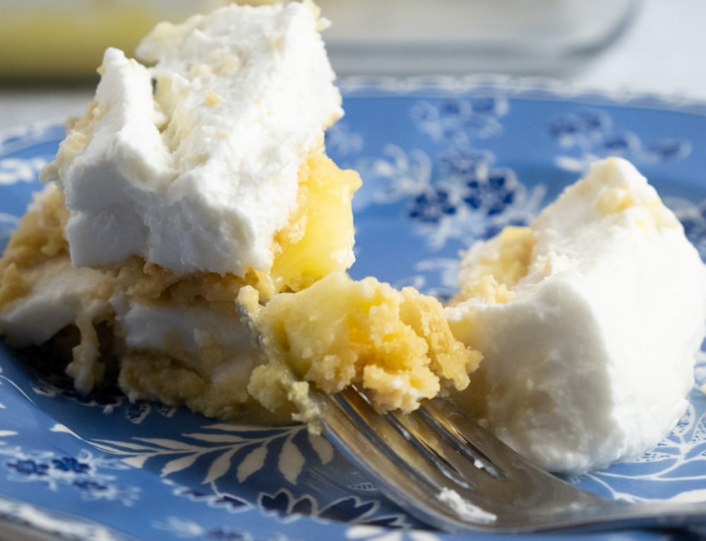 Easy Coconut Pudding ⋆ The Dessertivore